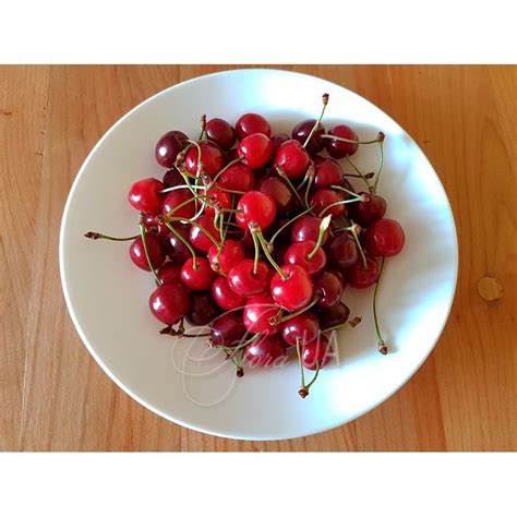 Саженцы черешни | Cherry, Fruit, Food