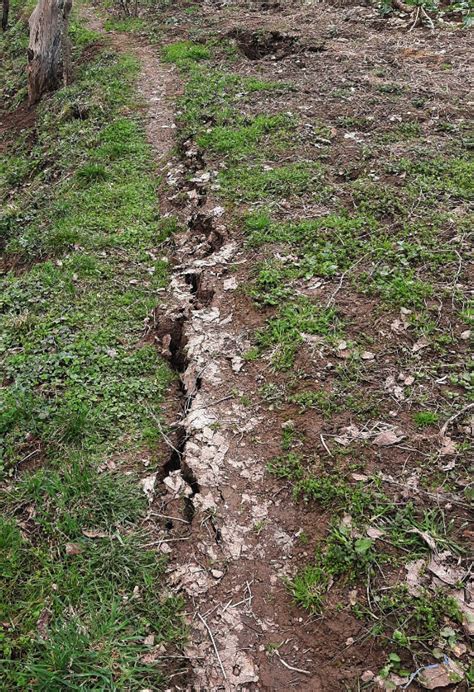 ნაპრალები მიწაზე კიდევ ერთი მეწყერი სოფელ ჩაოში გააქტიურდა