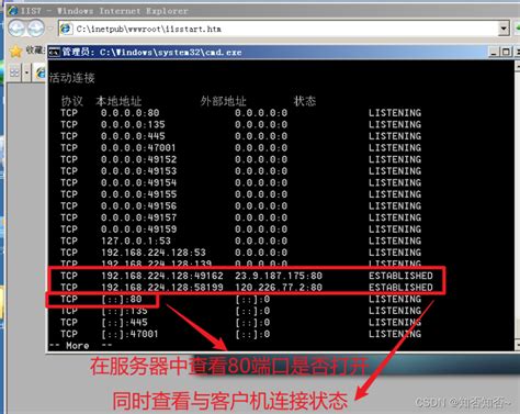web站点的部署与资源发布 web网站的部署和发布 csdn博客