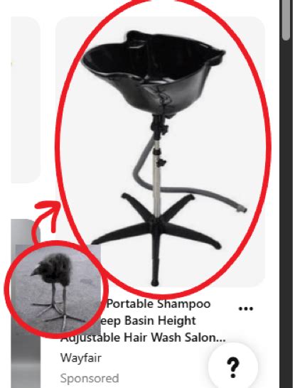 One Legged Bird Memes One Legged Bird Memes