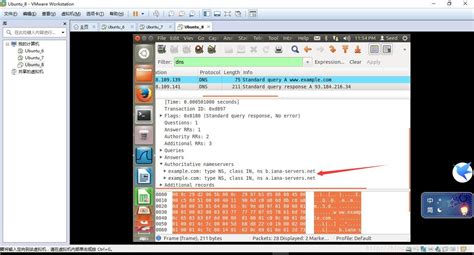 远程dns缓存攻击网络攻防实验三hust远程dns缓存中毒 Csdn博客