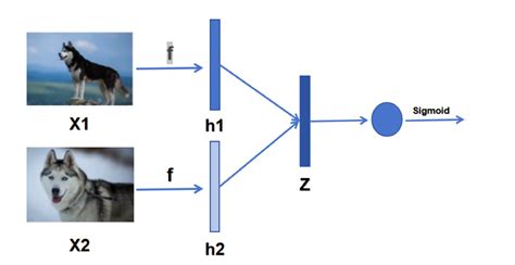 A Hyperspectral Remote Sensing Image Classification Method Based On Semi Supervised Learning