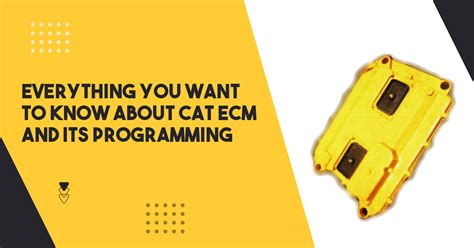 Everything You Want To Know About CAT ECM And Its Programming Enginiecontrol Truck Parts