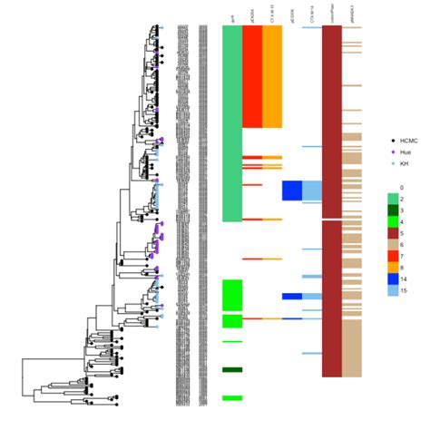 Ggtree Version Of Plottree R Bloggers
