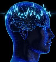 AO Scan Mobile By Solex Home