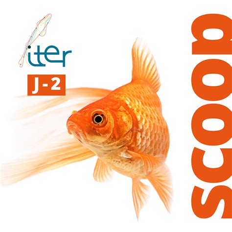 Iter Campagne De Communication Digitale Gelio