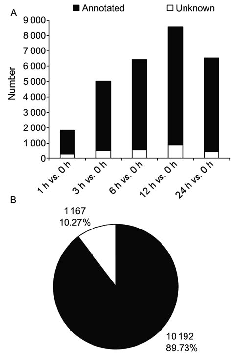 Overview Of Differentially Expressed Gene Annotation A Gene Download Scientific Diagram