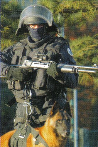 K91117 Les Chiens Du Gign