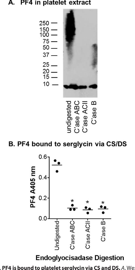 Figure 2 From Platelet Factor 4 Binds To Vascular Proteoglycans And