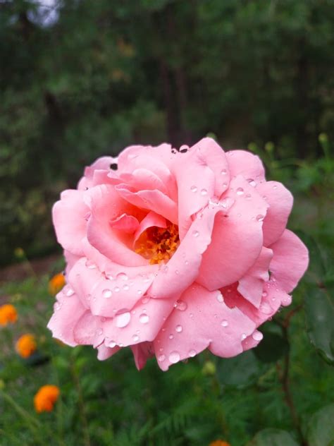 Shooting Travel Video Director Glimpses Saurabh Thakur