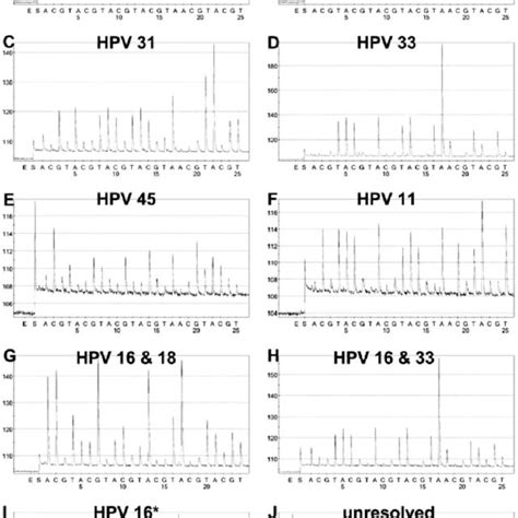 Representative Dna Analysis Prior To Pyrosequencing A Dna Download Scientific Diagram