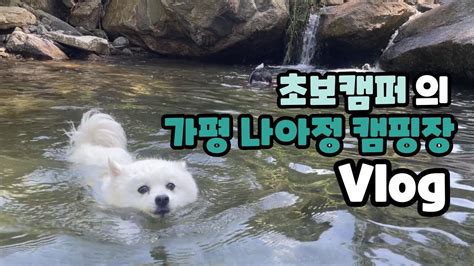 Vlog 초보캠퍼의 감성은 개나줘버린 애견동반 캠핑브이로그가평 나아정 캠핑장인생닭갈비계곡 수영하기 Youtube
