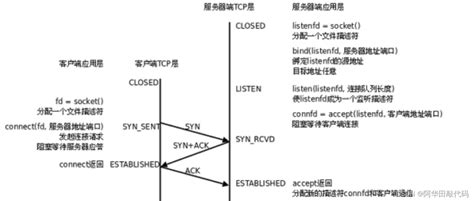 linux网络编程 四 tcp协议 linux tcp csdn博客