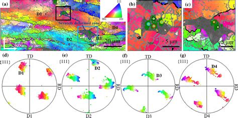 A Region Shows Both Particle Clusters Inside Grain And On Grain