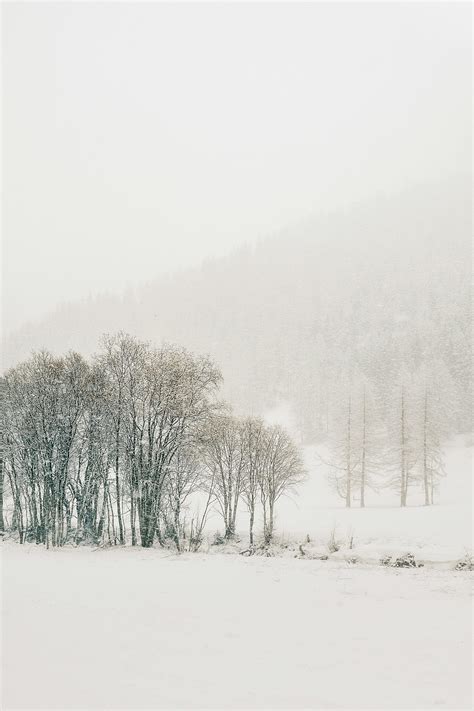 Complete Guide Implementing Jwt Authentication In Nextjs With Typescript Nextauth And