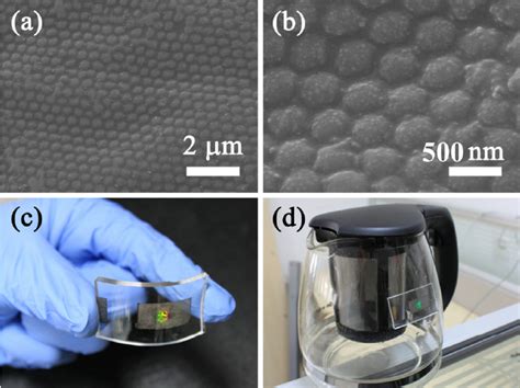 Flexible Ag Nanodot Arrays On Pdms A Sem Image Of Ag Nanodot Arrays