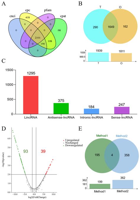 Identification Of Genes And Long Non Coding Rnas Putatively Related To Portunus Trituberculatus