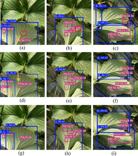detection result of yolov4 tiny yolov5s and dac yolov4 download