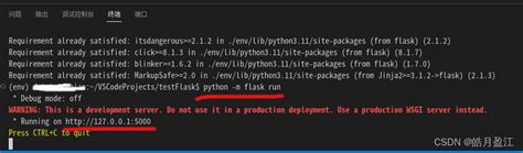 linux debian12使用vscode和python搭建flask开发环境 debian vscode csdn博客