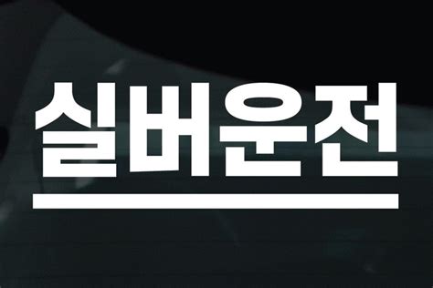 익스테리어용품 어르신운전중 스티커 안전운전 차량 자동차 데칼 시트지 05 실버운전 라인 오늘의집 쇼핑