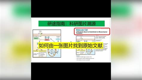 Graphpad Prism如何计算和查看均数、标准差及标准误 研究生教程 腾讯课堂