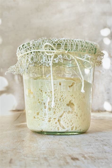 Easy Guide To Create And Maintain A Stiff Sourdough Starter Not Just Food