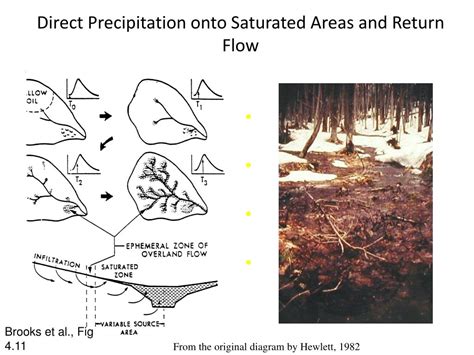 Ppt Runoff Pathways Powerpoint Presentation Free Download Id1866693