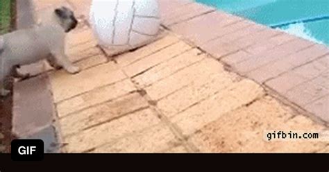 when the intern fixes his first bug 9gag