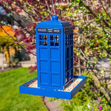 Types Of Bird Boxes At Heidi Burkholder Blog