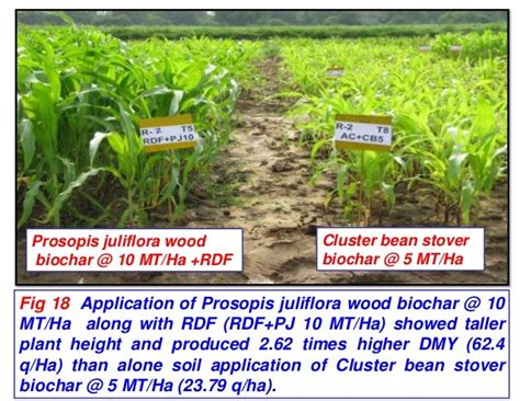 Biochar Preparation And Effect Of Biochars On Corn Growth Yield N