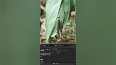 Day 49 100 Day Leetcode Challenge Deadpool Codes Code Leetcode Python Dsa Youtube