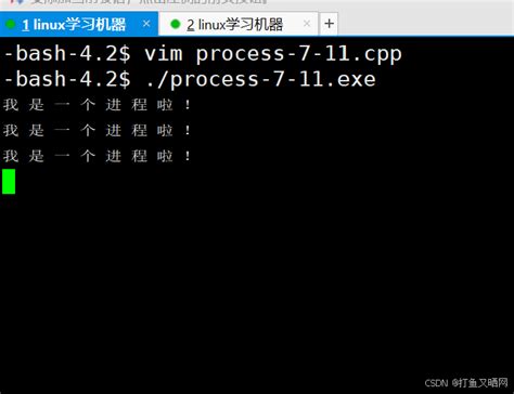 linux进程概念——概念理解与pcb csdn博客