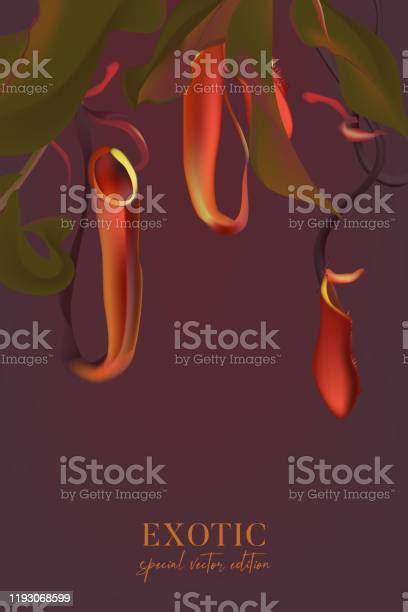 벡터 3d 정글 꽃과 잎 정원 꽃다발 작품 열대 자연 카드 브로셔 파티 디자인 어두운 배경에 고립 된 이국적인 매크로 꽃 템플릿 관목에 대한 스톡 벡터 아트 및 기타 이미지