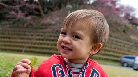 Of Course Youre Wrong Dad This Leaf Is Delicious Rdaddit