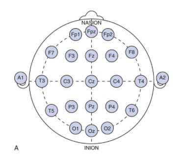 Position Of 21 Channels For Recording EEG Signal Download Scientific Diagram