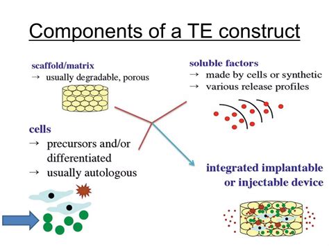 Tissue Engineering And Regenerative Medicine Pptx