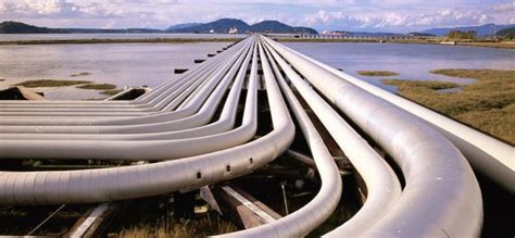 Product Tutorials And Third Party Tools Cast Highlight