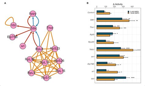 Functional Validation Of Candidate Genes A Gene Network Depicting