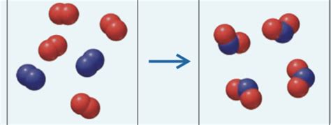 3 2 The Mole Flashcards Quizlet