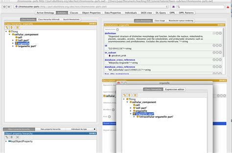 Disjointness — Go Ontology 05 Documentation