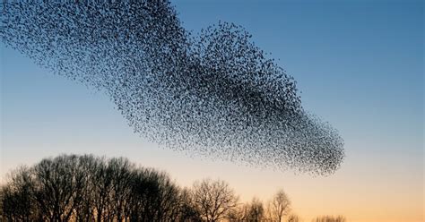 Connecting The Dots How To Optimize Your Energy Brand Portfolio Brandpie