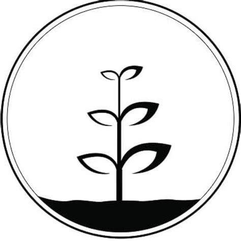 Triple Tree Lab ร้านค้าออนไลน์ Shopee Thailand