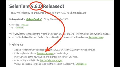 Selenium 460 Goodbye Webdrivermanger Goodbye System Property For