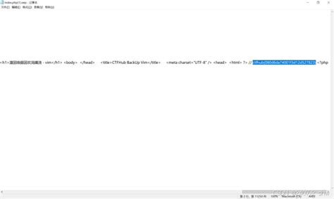 ctfhub web 信息泄露 ctfhub的viim泄露 csdn博客