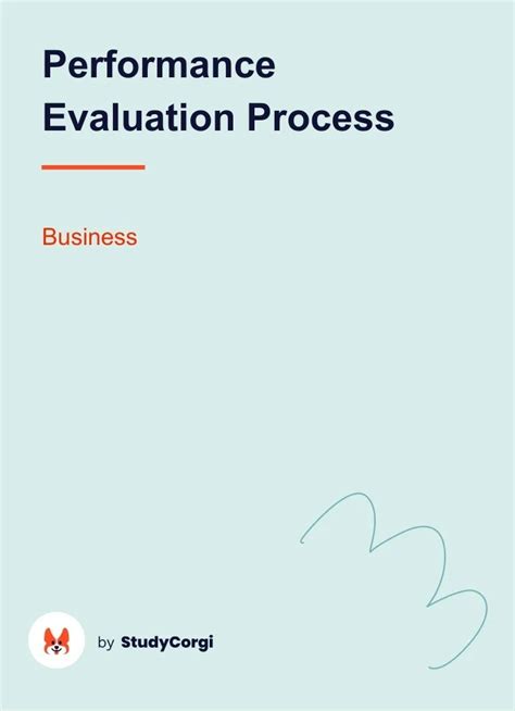 Performance Evaluation Process Free Essay Example