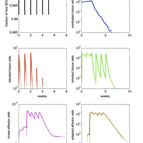 Figure S3 Simulation Of Population Dynamics Of Cells During And After Download Scientific
