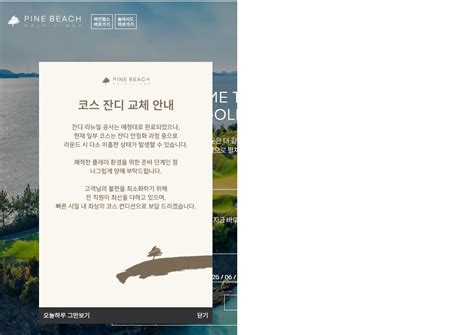 파인비치 조선잔디 교체 후 컨디션 문의 골프포럼 딜바다닷컴