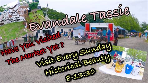 Evandale Marketsunday Marketlauncestontasmania Youtube
