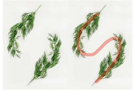 S Curve In Photography How To Compose Using This Rule Photographyaxis