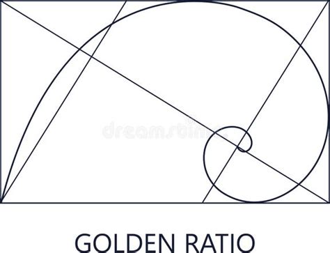 golden ratio templates vector stock illustration illustration of